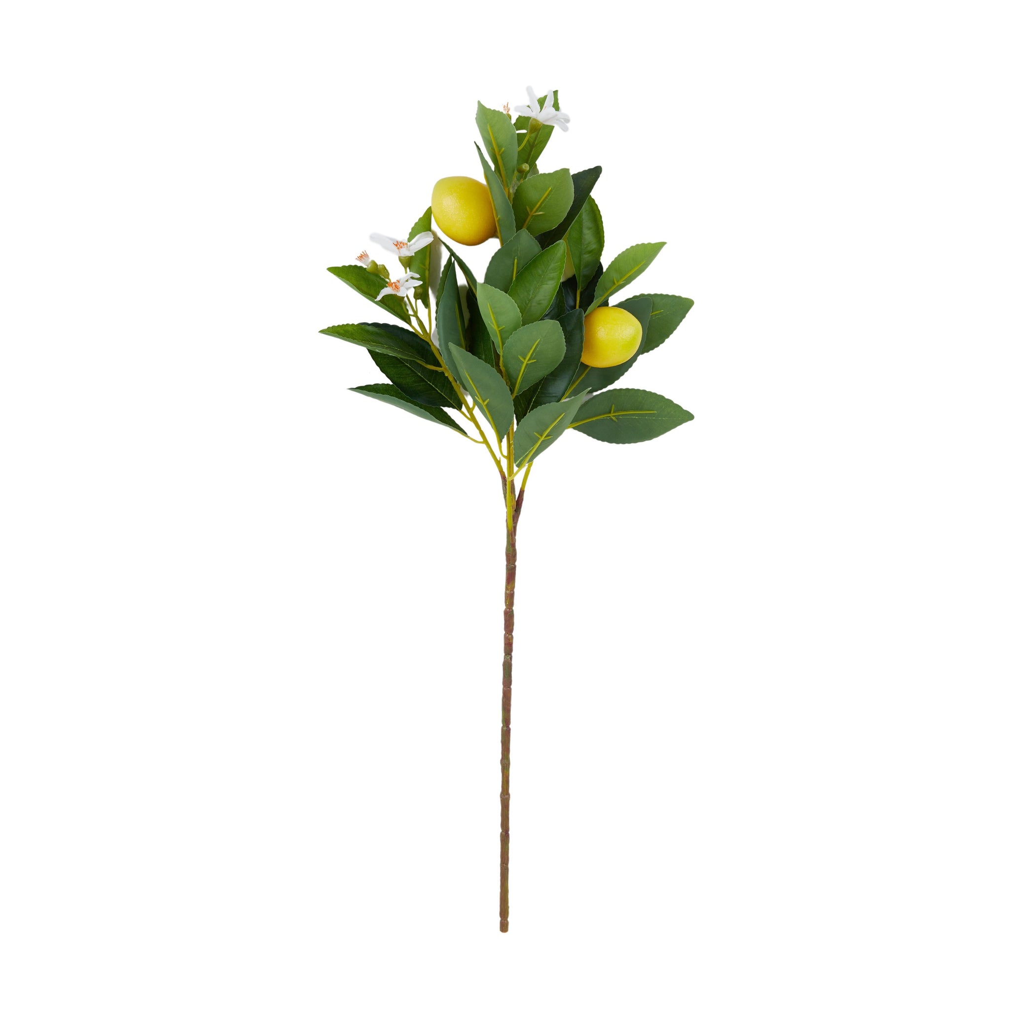 Lemon Stem 18x58cm Green/Yellow