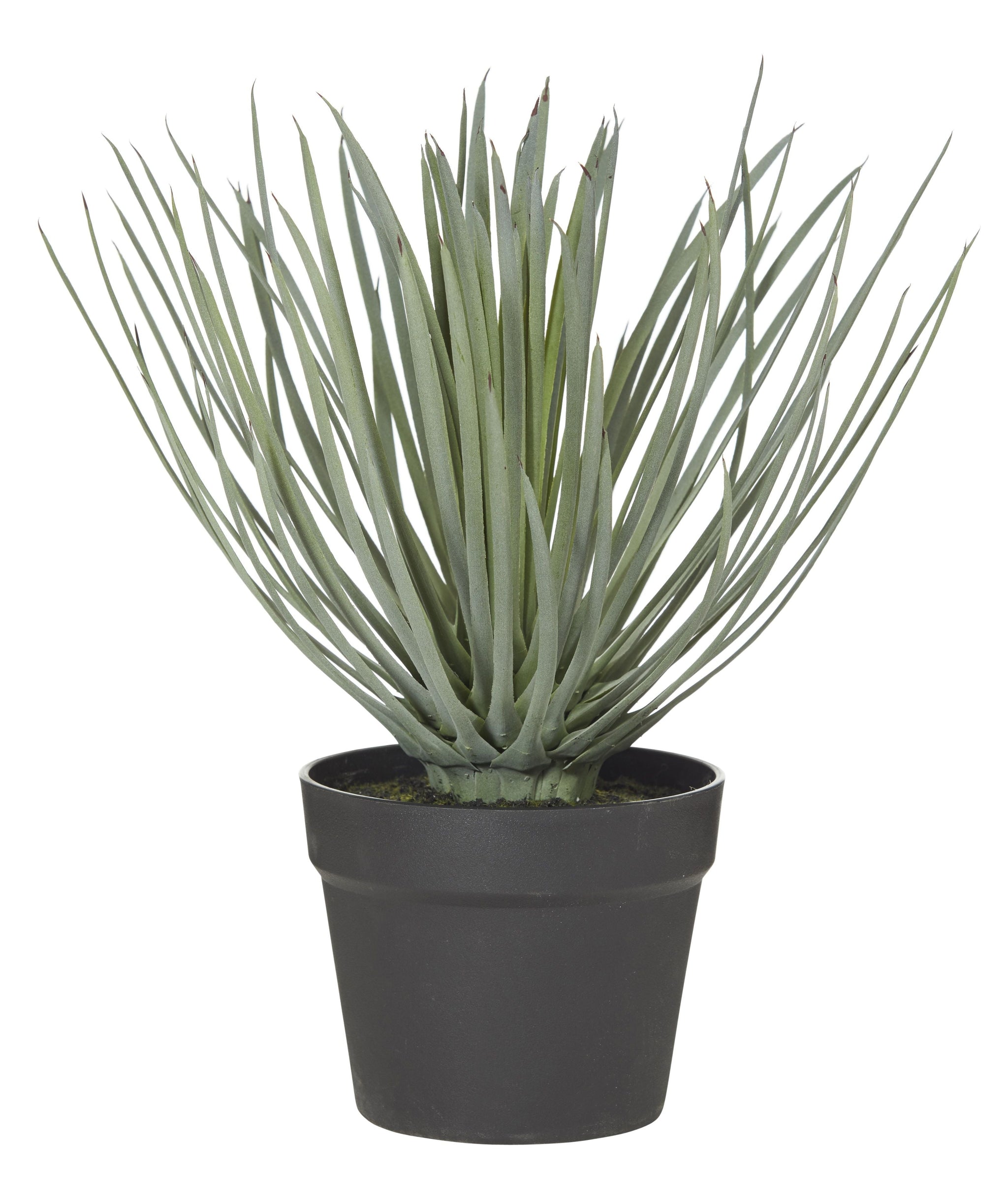 Spikey Grass Garden Pot